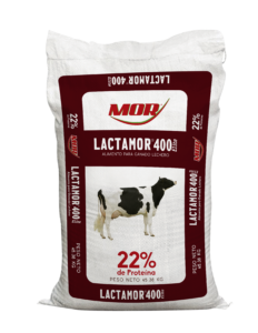 Lactamor 400 Elite - Alimentos MOR