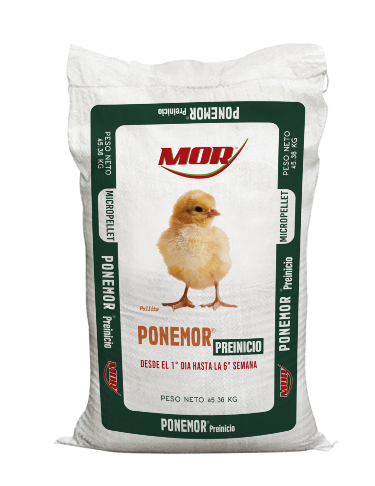Alimentos para Gallinas Ponedoras - Alimentos MOR